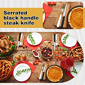 Therwen 100 Pieces Serrated Edge Pointed Tip Steak Knives Stainless Steel Steak Knife with Serrated Edge 8.8 Inch For Kitchen Restaurant Tableware Camping