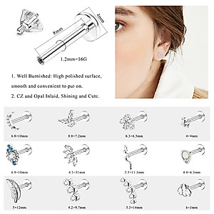HAIAISO 12PCS Cartilage Earring Stud Piercing for Women 316L Stainless Steel Lip Rings Internally Threaded 16G Helix Labret Tragus Studs Conch Earrings Monroe Medusa Piercing Jewelry Set(Silver)