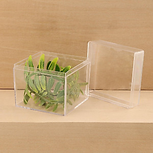 MUKLEI 45 Pack Plastic Square Cube, 2 × 2 × 2 Inches Clear Candy Cubes with Separate Lid, Mini Clear Container for Cosmetics, Bead, Makeup, Jewelry, Candy, Party Favor