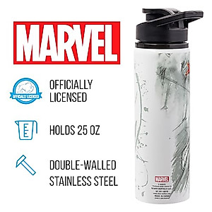 Silver Buffalo Marvel Spiderman Stainless Steel Water Bottle, 25 Ounces