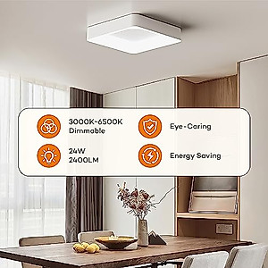 BLNAN 12 Inch Dimmable Flush Mount LED Ceiling Light Fixture with Remote Control, 24W 2400LM 3000K-6500K Dimming Ceiling Lamp for Bedroom Kitchen Hallway