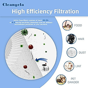 Cleangela 2-PACK 3069 Replacement Filter for BISSELL MYair Pro Air Purifiers 3139A 3139B, 3-in-1 H13 True HEPA and Carbon Air Filter, Part Number 3069