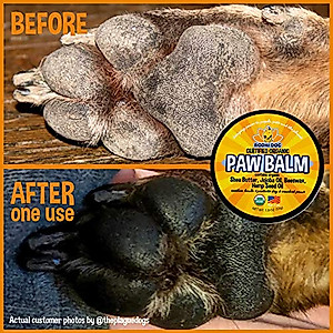 Organic Paw Balm for Dogs & Cats | All Natural Soothing & Healing for Dry Cracking Rough Pet Skin | Protect & Restore Cracked and Chapped Dog Paws & Pads | Better Than Paw Wax (Paw Balm, 2 oz)