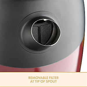 Warner Brothers Harry Potter 1.7L 1500W Electric Kettle by Select Brands - Features Water Window, Auto Shut Off, Boil Dry Protection, 360 Degree Rotating Base, Black and Gold, WBH-677KE