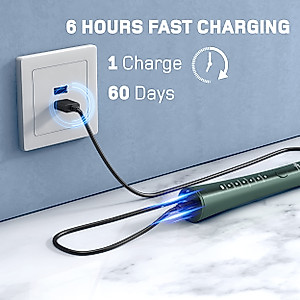 Wagner Stern ultrasonic whitening Electric Toothbrush with 8 Charcoal Black Brush Heads. for Fresh Breath & Healthy Smile. (Green)