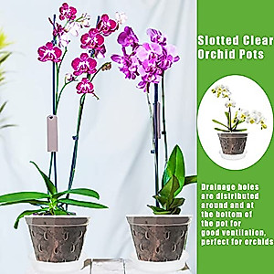 Haawooky Orchid Pots,5.5 inch Plastic Orchid Pots with Holes and Saucers,Slotted Clear Orchid Pots for Indoor and Outdoor Flower Planting,5 Pack
