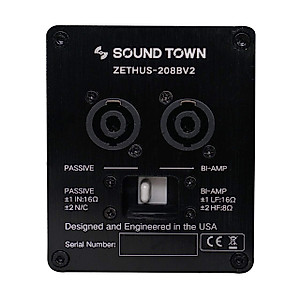 Sound Town ZETHUS Series 2 x 8” Line Array Loudspeaker, with Titanium Compression Driver, Plywood Construction, Full Range/Bi-amp Switchable, Black (ZETHUS-208BV2)