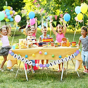 SHANBOYU DIY 3D Friendship Bracelet Birthday Banner Music Fans Birthday Decoration for concert Theme Supplies Wall Door Bunting Banner Flag Birthday disco prom Supplies (Macaron color)