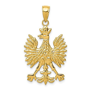 The Black Bow 14k Yellow Gold Polish Eagle Pendant