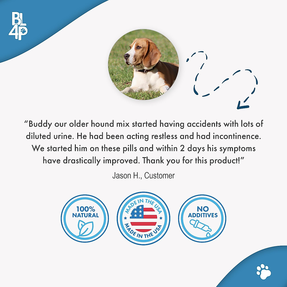 Dog UTI Treatment, Bladder & Kidney Support - Natural Incontinence and Bladder Control for Dogs Reduces Urinary Tract Infections, Flush Out Kidney Stones & Improves Dog Kidney Health - 400 Tiny Pills