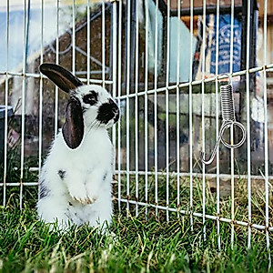 10Pcs Rabbit Cages Spring Cage Latch Door Spring Latch Hook for Rabbit Cages Metal Finger Spring Latch Hook for Fixing Small Animal, Dog, Cat, Parrot, Guinea Pig, Bunny,Parrot Hedgehog Cage Door