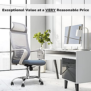 Lifetime Home Ergonomic Office Chair, High Back Desk Chair with Lumbar Support, Upgraded Wheels, Height Adjusting, Swivel Computer Task Rocking Mesh Executive Office Chair (Navy Blue)