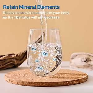 OEMIRY OM-CF01 Countertop Water Filter & OM-CF01 Replacement Filter, Reduces 99.99% Lead, Chlorine, Heavy Metals, Bad Taste & Odor (2 Filters Included)