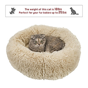 Qucey Calming Cat Beds for Indoor Cats, Anti Anxiety Round Fluffy Plush Faux Fur Cat Bed, Washable 23 inches Small Dog Bed & Cat Bed