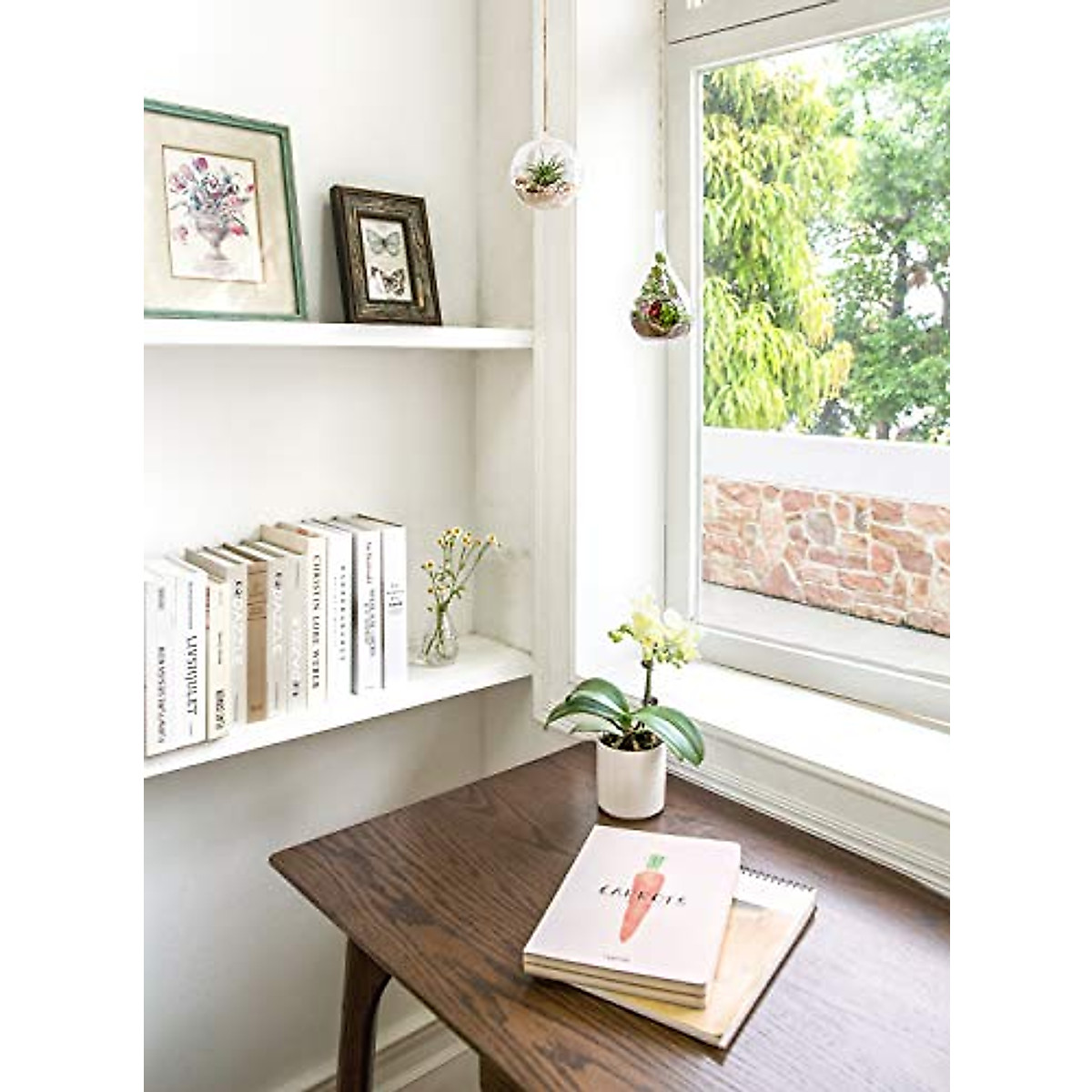 Mkono 2 Pack Glass Hanging Planter Air Fern Holder Terrarium Plants Hanger Vase Home Christmas Decoration Gift Idea for Succulent Moss Tillandsias Air Plants, Globe and Teardrop