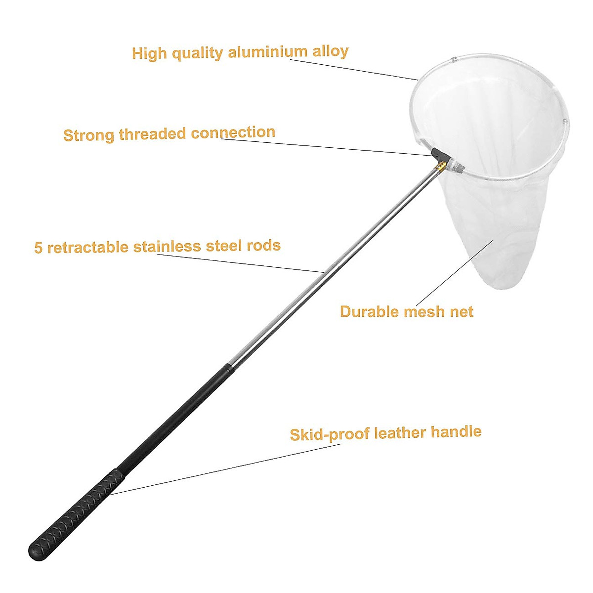 Trasfit Insect and Butterfly Net with 12" Ring, Net Handle Extends to 59 Inches for Adults & Kids