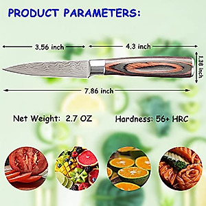 Jonbyi Paring Knife 3.5 inches, Small Knife - German High Carbon Stainless Steel Ultra Sharp Kitchen Fruit Knife for Chopping Vegetable Steak Peeling fruit, Pairing Knives with Sheath Cover