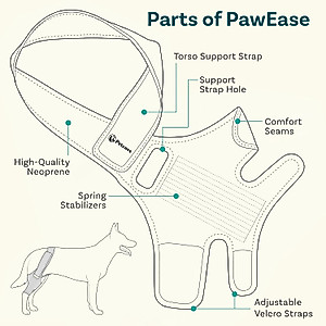 Dog Knee Brace, Dog Knee Brace for Torn Acl Hind Leg, Dog Leg Braces for Back Leg, Size Large, Dog Acl Brace Hind Leg, Acl Brace for Dogs Rear Leg, Dog Knee Brace for Luxating Patella