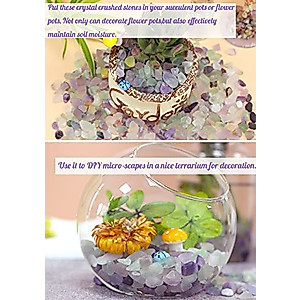 1lb Fluorite Aquarium Gravel Rocks Natural Tumbled Healing Crystal Chips Bulk Gemstones Crushed Stones for Fountain Vase Filler Planters Decorative Fish Tank Potted Reiki Energy Balancing