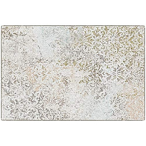 Brumlow MILLS Cordelia Antique Distressed Print Washable Indoor/Outdoor Area Rug for Living or Dining Room, Bedroom Carpet Rug and Kitchen Rugs, 40" x 60", Neutral