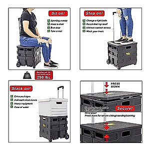 dbest products Quik Cart Sport Collapsible Rolling Crate on Wheels for Teachers Tote Basket 80 lbs Capacity, Made from Heavy Duty Plastic Used as a Seat, Black