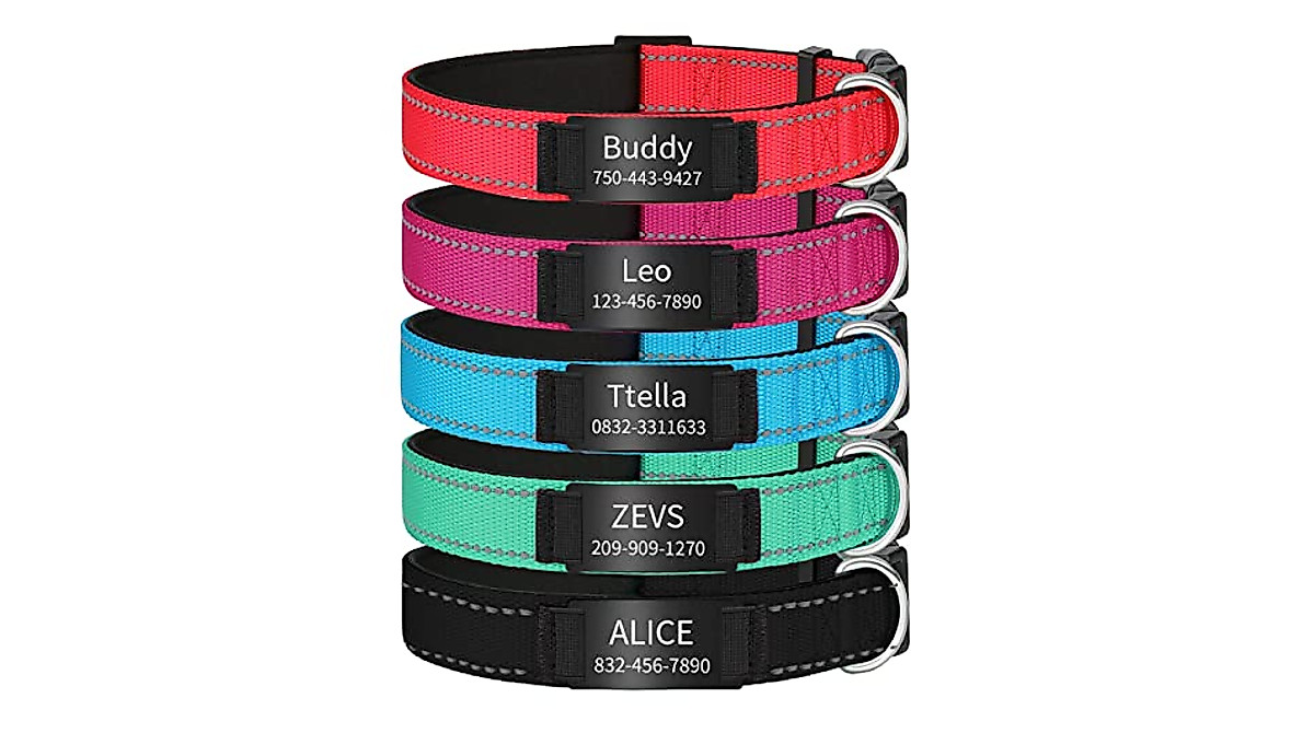Personalized Reflective Dog Collars with Laser Engraving | SF Custom