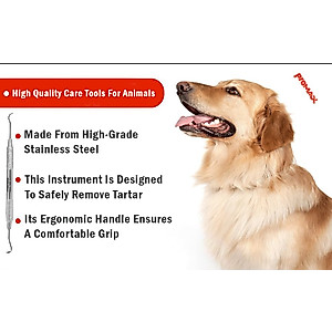 Professional Dental Tartar Scraper Tool - Double Ended Tartar Remover for Teeth, Dental Pick, Plaque Remover, Tooth Scraper - Added Tooth Cleaning at Home - 100% Surgical Stainless Steel-45-10127 (2)