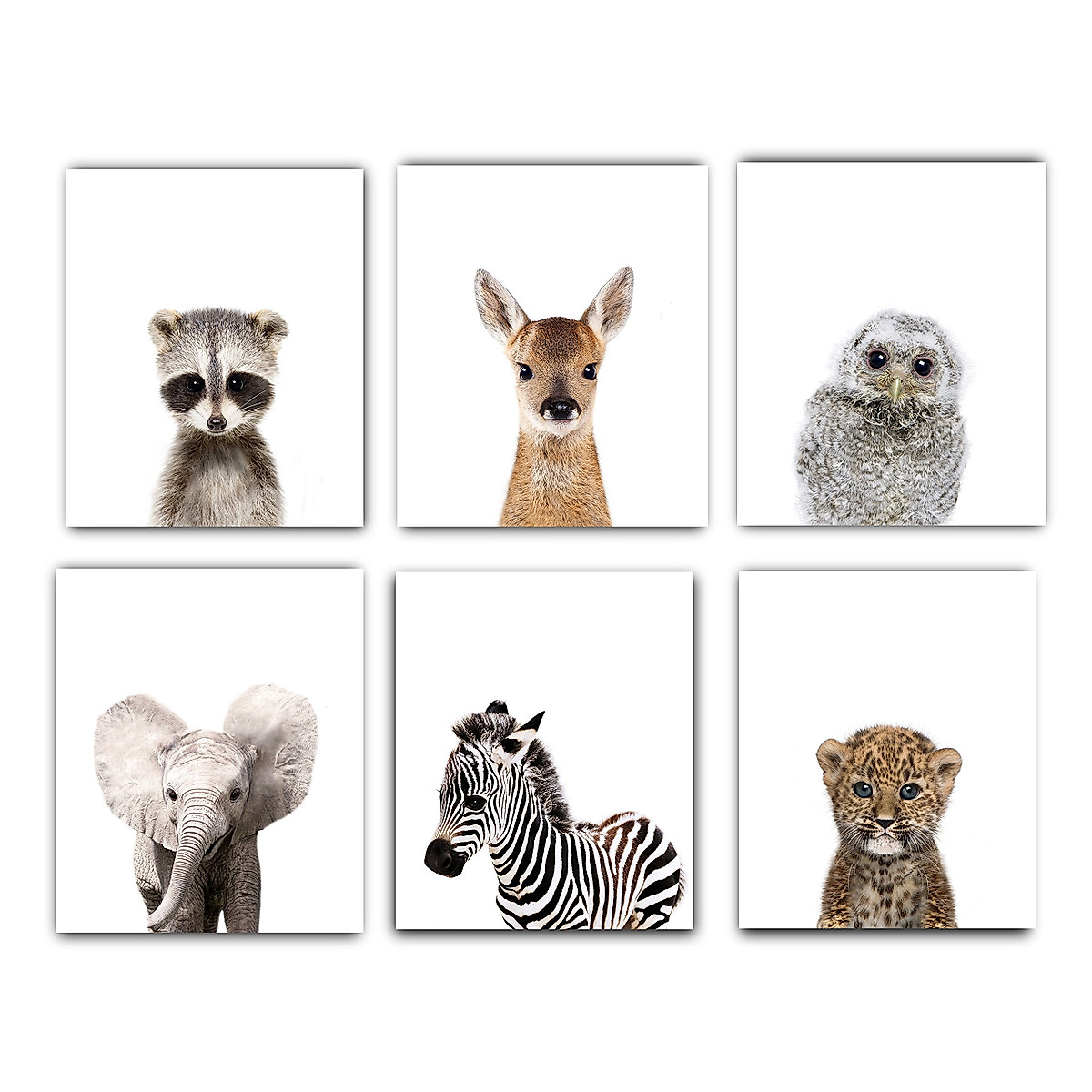 Designs by Maria Inc. Set of 6 UNFRAMED Woodland Nursery Decor Animal Posters | Zoo Theme Baby Room Decorations | Safari Jungle Nursery Wall Art Prints | Baby Animals Prints Nursery Decor Set (8"x10")