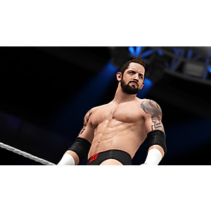 WWE 2K16 - PlayStation 3 (Renewed)