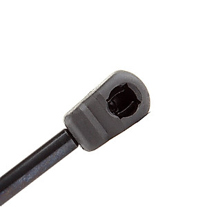 2 Pack Front Hood Lift Supports for 2000 2001 2002 2003 2004 2005 Ford Excursion,1999-2005 Ford F-250 F-350 F-450 F-550 Super Duty 4339 SG304029