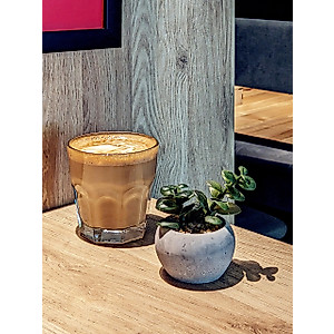 ECODECO 4 Cocktail Glasses - 9 Ounce - Gibraltar Old Fashioned Rocks Tumblers - w/Straws