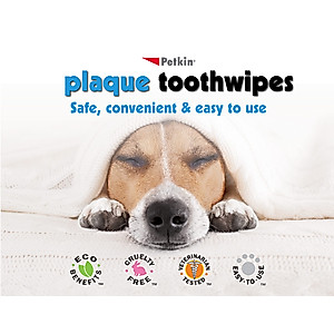 Petkin Cat and Dog Dental Wipes, 40 Wipes (Fresh Mint) - Natural Formula Cleans Teeth, Gums & Freshens Breath - for Daily Use - Convenient Dog Dental Care - 1 Pack of 40 Wipes