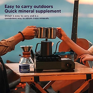 VIFSSG Shilajit Pure Himalayan Organic, 700 Mg Shilajit Supplement, Shilajit Resin Organic, Gold Grade Nature Shilajit with 4 in-1 Complex for Energy Support, 30 Grams, 1 Pack