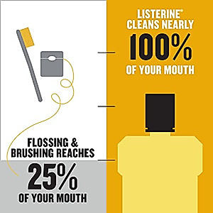 Listerine Original Antiseptic Oral Care Mouthwash to Kill 99% of Germs That Cause Bad Breath, Plaque and Gingivitis, ADA-Accepted Mouthwash, Original Flavor, 1.5 L (Pack of 6)