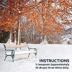 Source Naturals Herbal Resistance - Contains Echinacea, Yin Chiao, Elderberry, & More - 2 Fluid oz