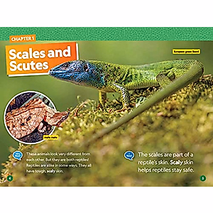 Reptiles (National Geographic Kids Readers, Level 1/Co-Reader)
