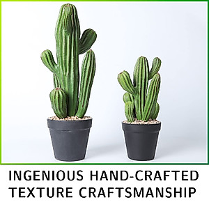 AntHousePlant Artificial Cactus Fake Cactus 16" Faux Cacti Plants for Home Garden Office Store Decoration