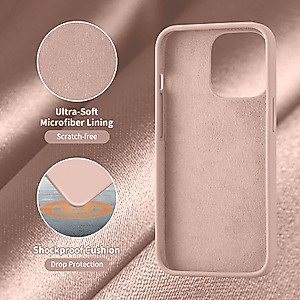 Cordking Designed for iPhone 12 Pro Max Case, with 2 Screen Protectors + 2 Camera Lens Protectors, Shockproof Silicone Phone Case with Microfiber Lining, Pinksand