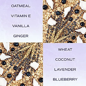 TropiClean SPA Lavish Dog Shampoo | Dog Whitening Shampoo For White Coats & All Other Coat Types | Naturally Derived Salon Grade Ingredients | Made in the USA | 1 Gallon