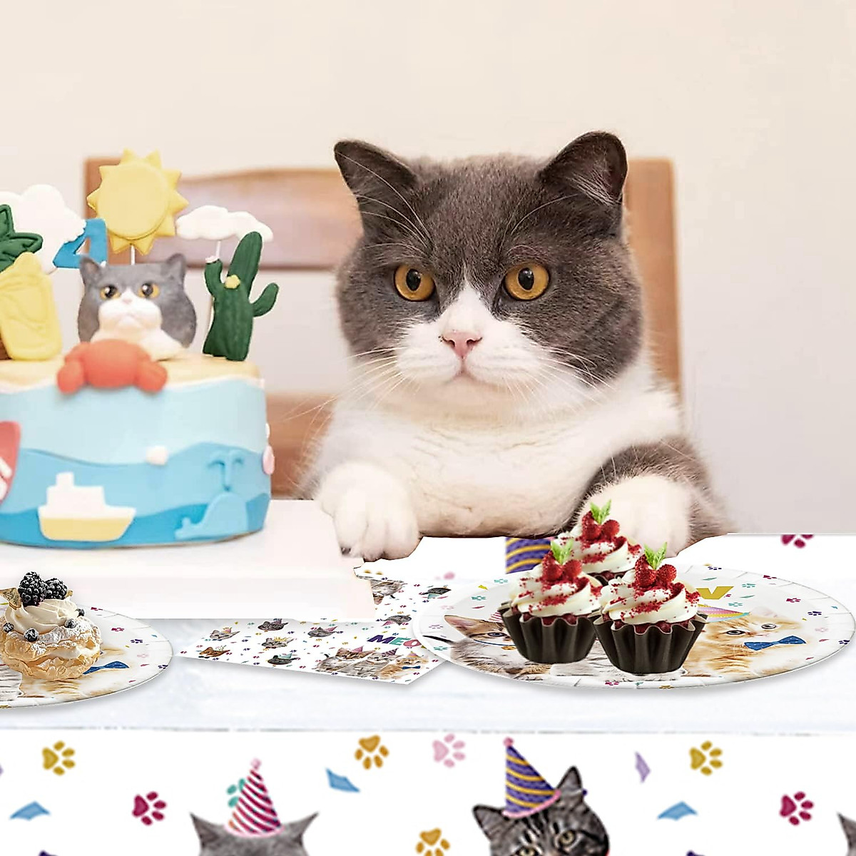 41pcs Cat Party Supplies ,include 20 Plates, 20 Napkin and 1pcs Tablecloth,Used for Birthday Party Decoration (Cat EEE)