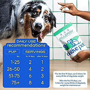 Native Pet Itchy Skin Bundle | Allergy Chews for Dogs (60 Servings) + Omega Oil for Dogs (8oz) | Dog Allergy Relief + Itching Relief for Dogs | Dog Probiotics for Itchy Skin & Dog Fish Oil