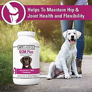Vet Classics GCM Plus Hip & Joint Support Dog Supplement – Includes MSM, Chondroitin, Glucosamine – Supports Healthy Joints, Flexible Hips in Dogs – Chewable Tablets 120 Ct.