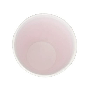 G.E.T. SC-16-R BPA-Free Reusable Plastic Red Party Cup Tumbler Only, 16 Ounce, Red (Set of 12)