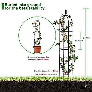 2 Pack Garden Trellis for Climbing Plants Outdoor, Rustproof Plastic Coated Metal Stake Tall Tower Obelisk Trellis for Potted Plant Support Indoor Outdoor Rose Trellis for Vegetable Vines, Lightweight