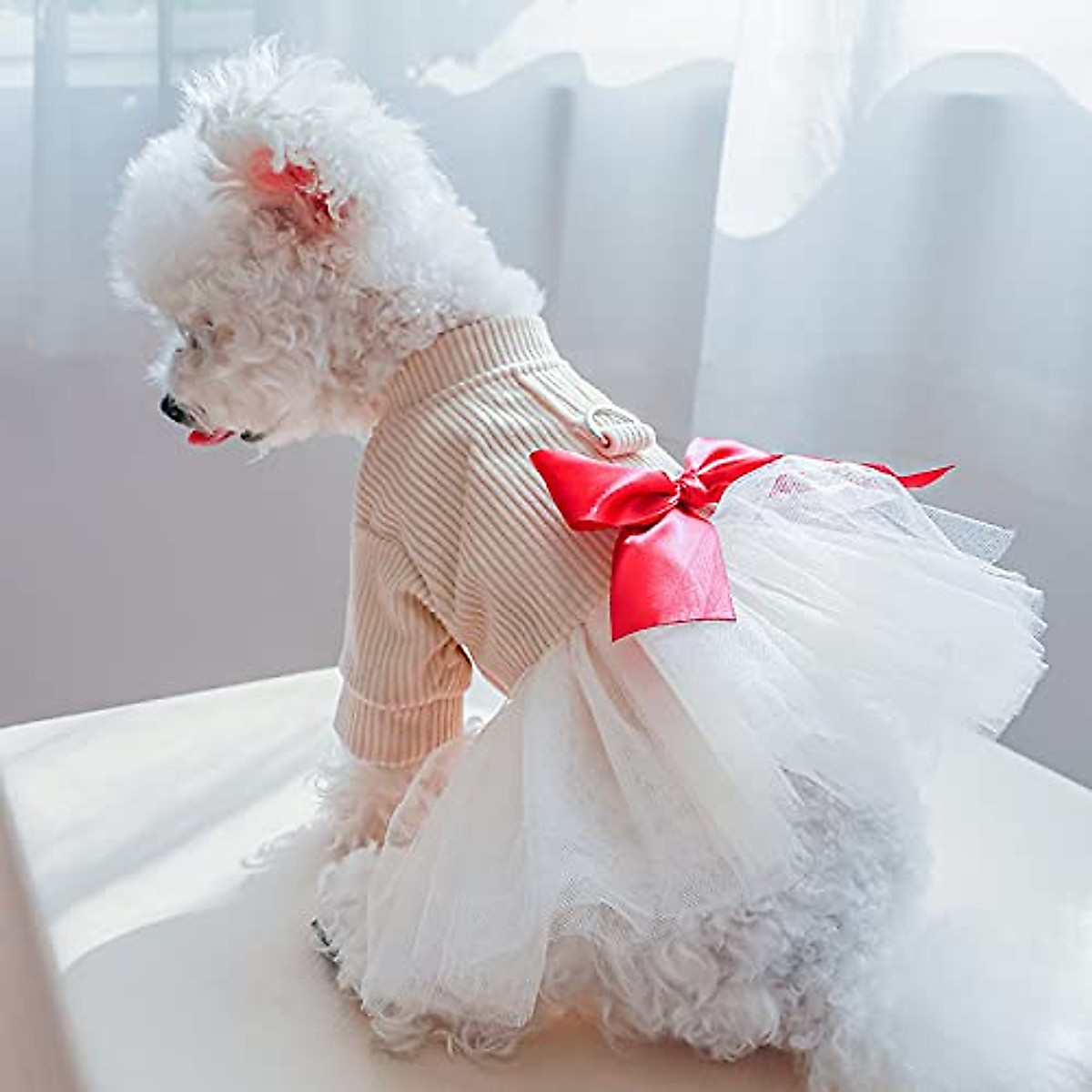 Princess Dress for Dogs Autumn Winter Warm Clothes Pet Cute Princess Skirt for Small Dog and Cat Cat Tutus for Small Cats
