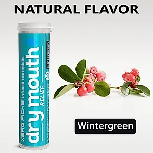 Xero Picks Dry Mouth - Infused Flavored Toothpicks for Long Lasting Fresh Breath & Dry Mouth Prevention (1 Pack - Wintergreen)