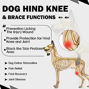 ROZKITCH Dog Surgery Recovery Sleeve Rear Right Left Leg, Pet Prevent Licking Wound Elbow Brace Protector, Dog Recovery Suit Cone Collar Alternative for Sprain ACL CCL Arthritis Joint Care Black XL