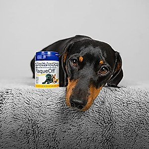 Proden PlaqueOff Dental Care for Dogs and Cats, 180gm