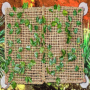 PENN-PLAX Reptology Lizard Lounger Vine Backdrop – 100% Natural Seagrass Fiber – Great for Bearded Dragons, Anoles, Geckos, and Other Reptiles