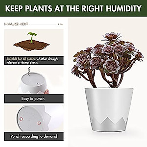 HAUSHOF 5 Inch Plant Pots, 10 Pcs Plastic Planters for Flower Planting, Flower Pots for Indoor, Home and Garden, Light Grey